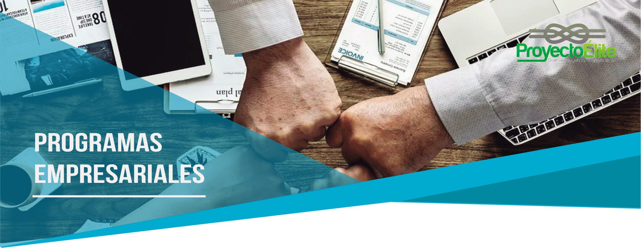 Programas Empresariales – Proyecto Elite Ltda